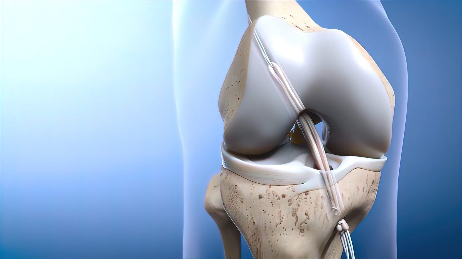 ACL Reconstruction – Malleshwara Orthopaedic Centre and Polyclinic